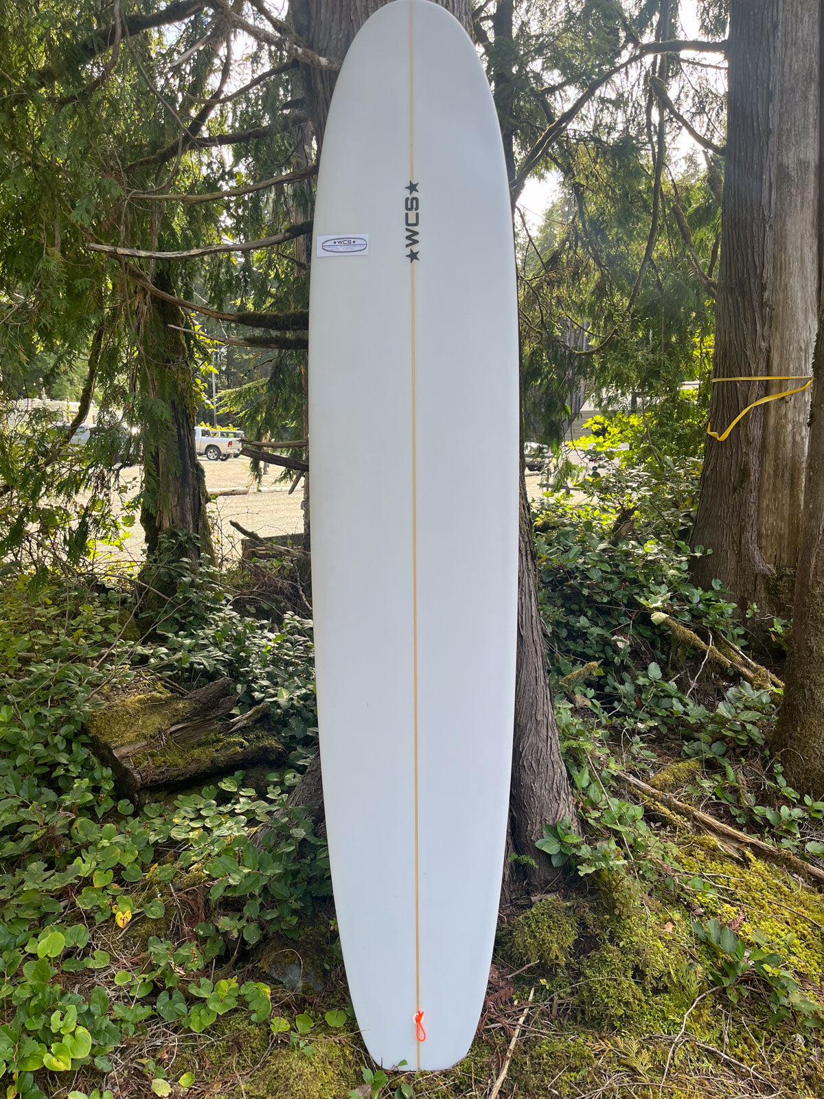 Surfboard Rental – West Coast Shapes Ukee